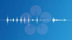 Wooden Ratchet Sound Effects ~ Wooden Ratchet Sounds | Pond5