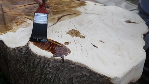 Walnut Stain Stock Videos – Royalty-Free HD & 4K Videos | Pond5