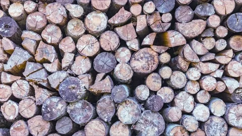 wood surface static background screensav... | Stock Video | Pond5