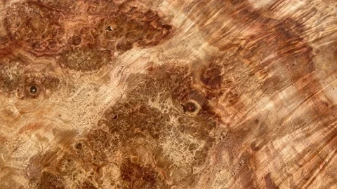 Wood texture. burl maple slab. The most... | Stock Video | Pond5