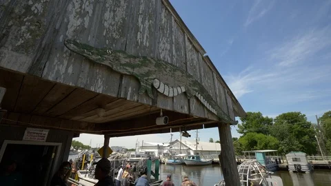 Wooden Alligator Sign, Swamp Adventures | Stock Video | Pond5