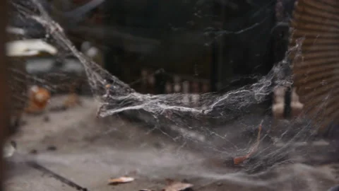 Wooden Floor And Spider Web Panning In T... | Stock Video | Pond5