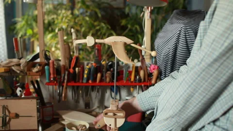 Bird Flapping Wings Stock Footage ~ Royalty Free Stock Videos | Pond5