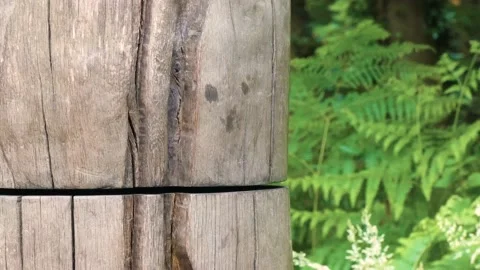 wooden log cryptic puzzle being turned f... | Stock Video | Pond5