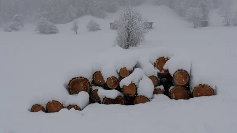 Wooden logs in winter snow with white fo... | Stock Video | Pond5