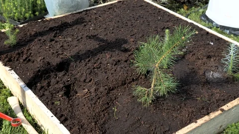 A wooden plot of soil on the garden | Stock Video | Pond5