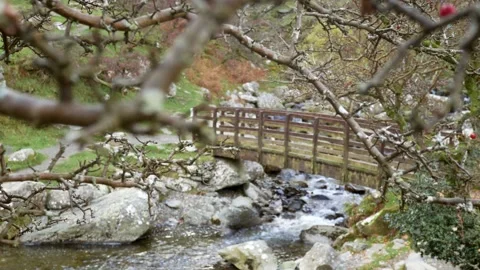 Wooden waterfall river bridge seen throu... | Stock Video | Pond5