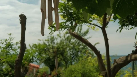 Chime Back Stock Videos – Royalty-Free HD & 4K Videos