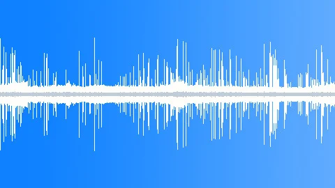 Sound Effect: Woodpecker in the Amazon rainforest ~ #226249435