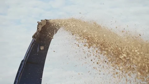 Woodworking industry, recycling of tree ... | Stock Video | Pond5