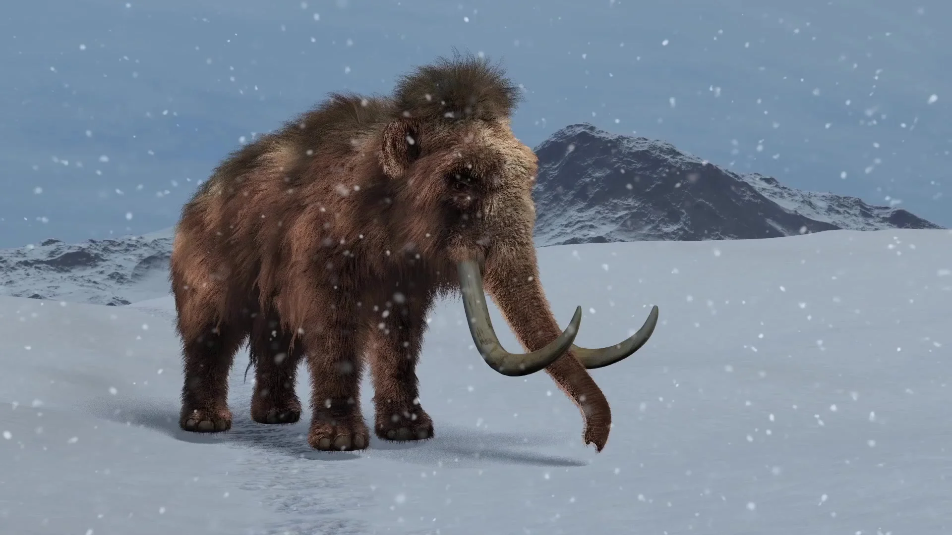 Wooly Mammoth Cartoon Bringing Back The Woolly Mammoth | The New