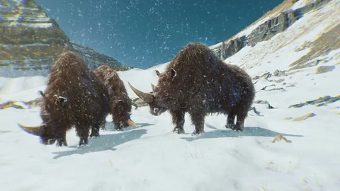Woolly Rhino in Ice Age Animation | Stock Video | Pond5