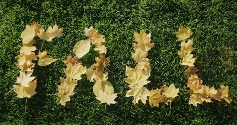 Word FALL on green grass. Letters are bl... | Stock Video | Pond5