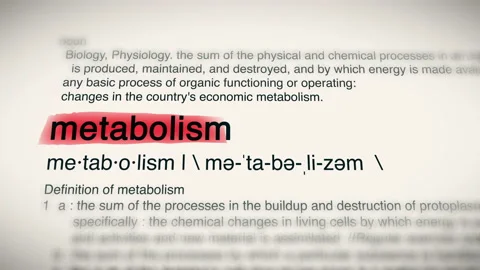 Metabolism Stock Footage ~ Royalty Free Stock Videos | Pond5