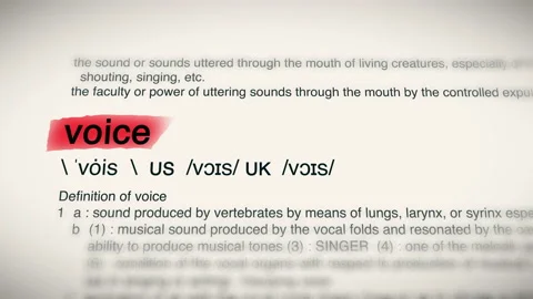 The Word Voice Red Highlighted in a Dict... | Stock Video | Pond5
