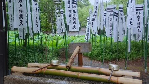 Words of wisdom and prayers on flags at ... | Stock Video | Pond5