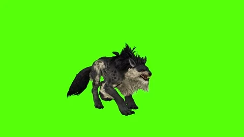 Worg Angry Green Screen Animation 4k Ren... | Stock Video | Pond5