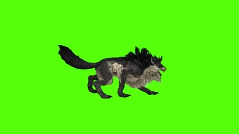 Worg Attack Green Screen Animation 4k Re... | Stock Video | Pond5