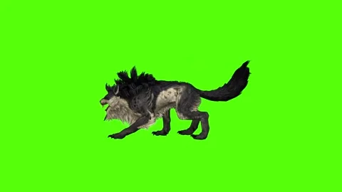 Worg Attack Green Screen Animation 4k Re... | Stock Video | Pond5