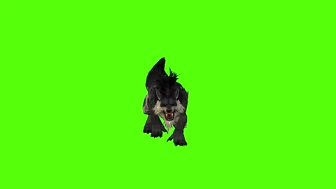 Worg Attack Green Screen Animation 4k Re... | Stock Video | Pond5