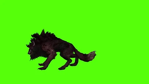 Bite Green Screen Stock Video Footage | Royalty Free Bite Green Screen ...