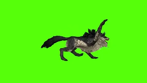 Worg Claws Attack Green Screen Animation... | Stock Video | Pond5