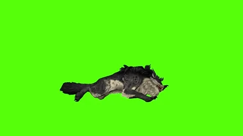 Worg Death Green Screen Animation 4k Ren... | Stock Video | Pond5