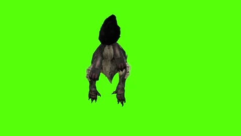Worg Jump Green Screen Animation 4k Rend... | Stock Video | Pond5