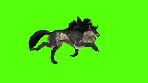 Worg Running Fast Green Screen Animation... | Stock Video | Pond5
