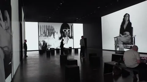 David Foundation Stock Videos – Royalty-Free HD & 4K Videos | Pond5