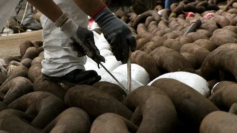 Anchor Painting Stock Videos – Royalty-Free HD & 4K Videos