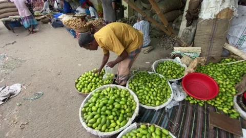 Bags Wild Man Stock Videos – Royalty-Free HD & 4K Videos | Pond5