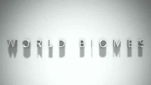 World Biomes Stock Videos – Royalty-Free HD & 4K Videos