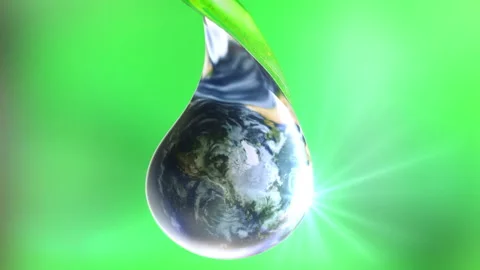 World in a drop On Leaves Nature Environ... | Stock Video | Pond5