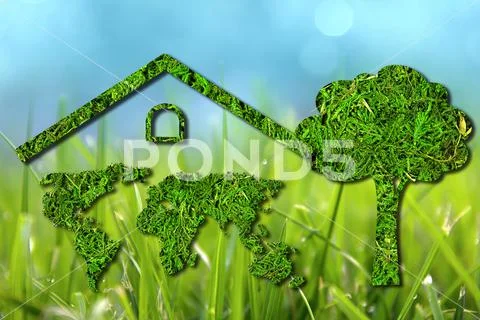 World map, component of walls of the house with the tree, on natural ...