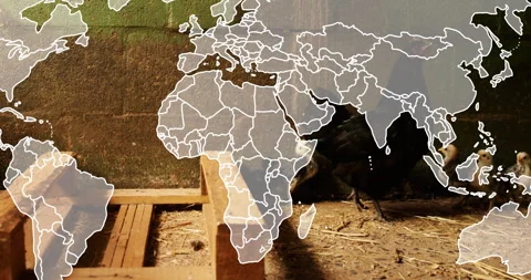 World map overlay fading in over coop sh... | Stock Video | Pond5