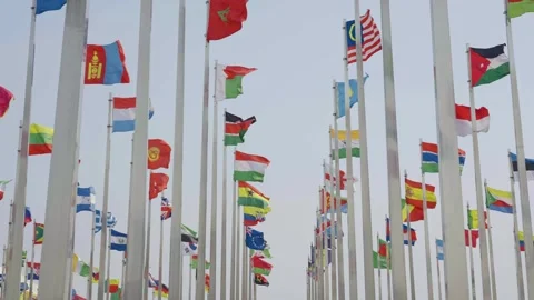 World national flags | Stock Video | Pond5