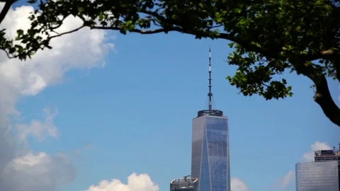 World Trade Center Under Tree | Stock Video | Pond5