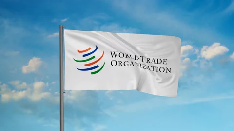 World Trade Organization flag | Stock Video | Pond5
