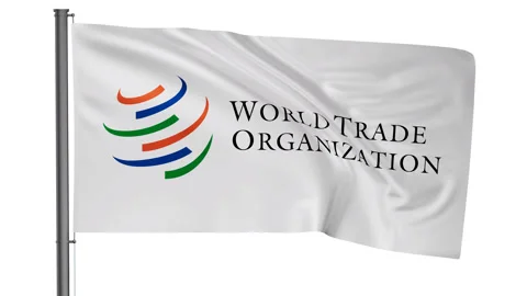 World Trade Organization flag | Stock Video | Pond5