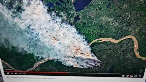 Youtube 2025Ash Stock Videos – Royalty-Free HD & 4K Videos