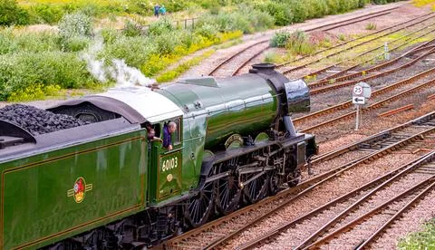 Stock Photos by Info84728 | Official Pond5 Storefront