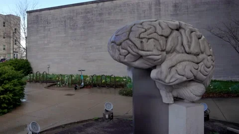 Worlds largest brain sculpture on the ca... | Stock Video | Pond5