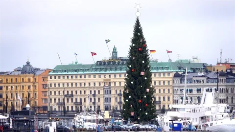 World's Tallest Christmas tree in Gamla ... | Stock Video | Pond5