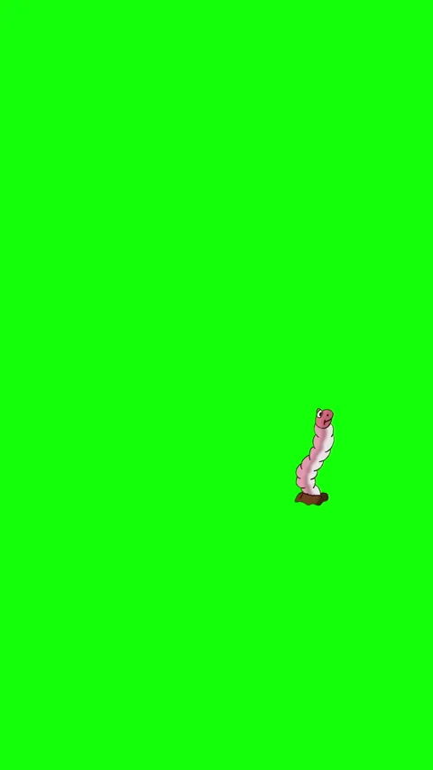 Worm on Green Screen Background. 2D anim... | Stock Video | Pond5