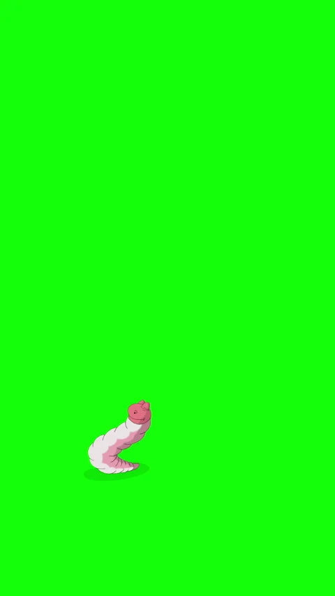 Worm on Green Screen Background. 2D anim... | Stock Video | Pond5