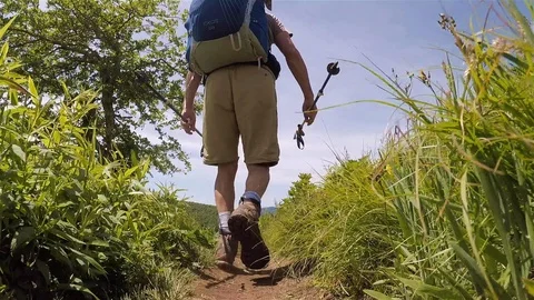 Worm Eye View Stock Videos – Royalty-Free HD & 4K Videos