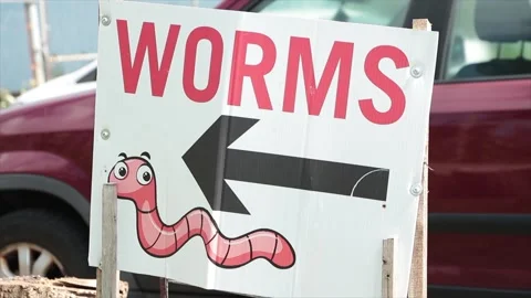 worms word caption text writing sign wit... | Stock Video | Pond5