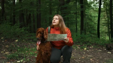 Dog Walking Maps Stock Videos – Royalty-Free HD & 4K Videos | Pond5