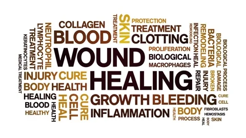 Wound Healing Process Animation